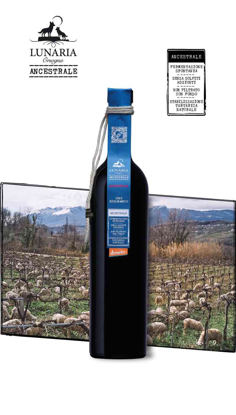 Biowein online kaufen | Zertifizierter Bio-Wein